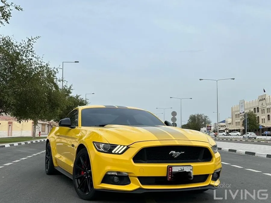 Mustang GT 5.0